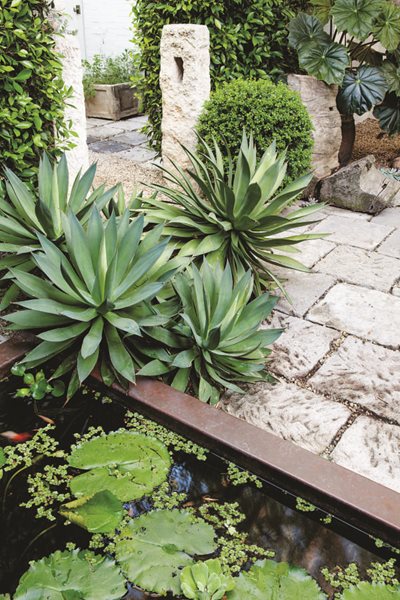 Scott Shrader | The Long Table